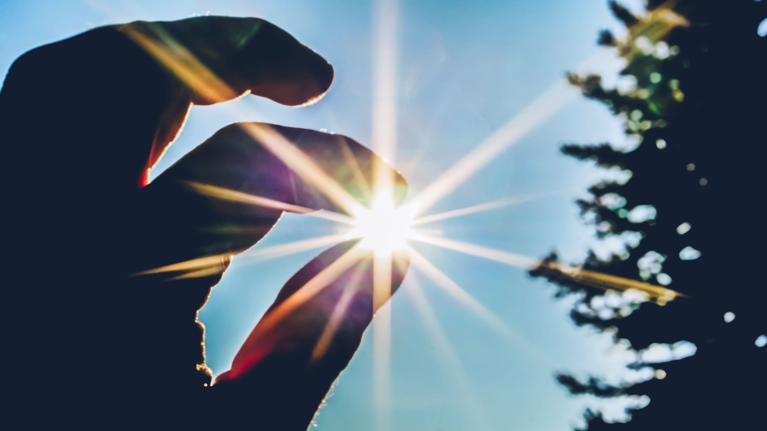 Roadmap for a circular photovoltaic industry - Circulaire Kennis